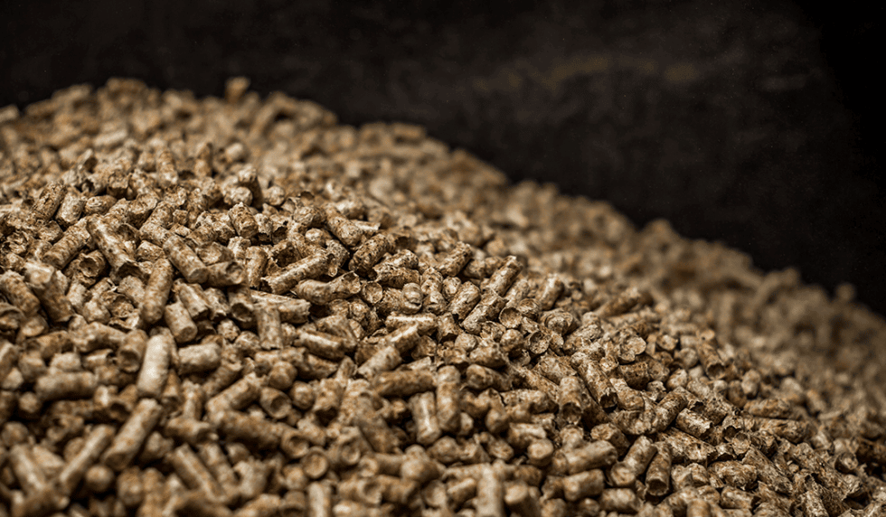 Conheça os principais tipos de biomassa utilizados em caldeiras - Burntech